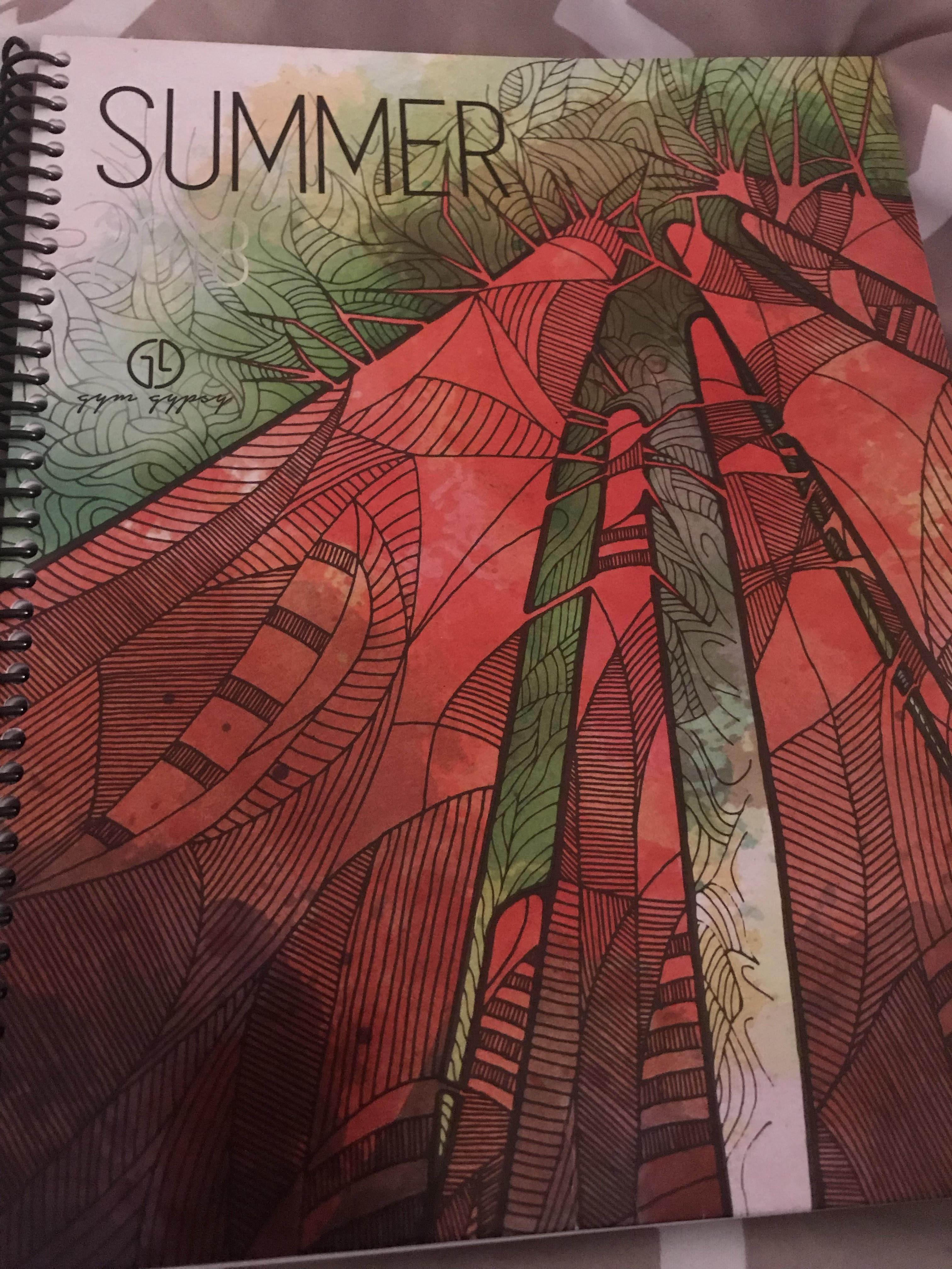 Review! Gym Gypsy Program Planner! – The Trainer Life